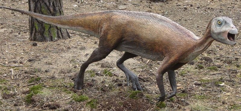 Dinosaurios: Atlascopcosaurus, el lagarto Atlas Copco - Red Historia