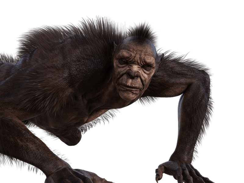 Skin Walkers, misteriosos seres que deambulan en la oscuridad - Red ...